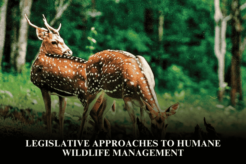 Designing Wildlife-Inclusive Cities: What Planners Should Know